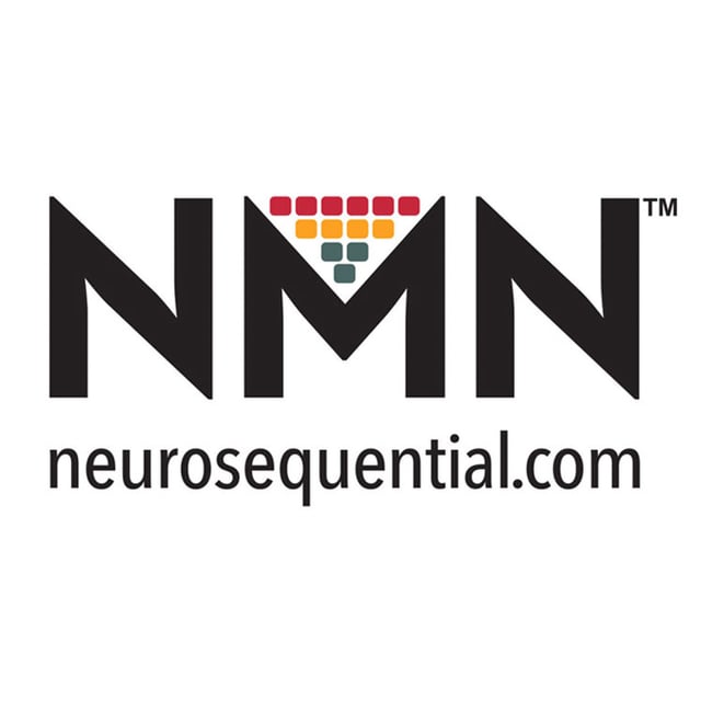 The Neurosequential Network