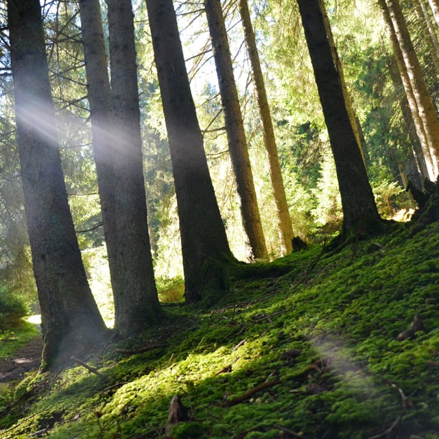 FRAMES hosted by nature