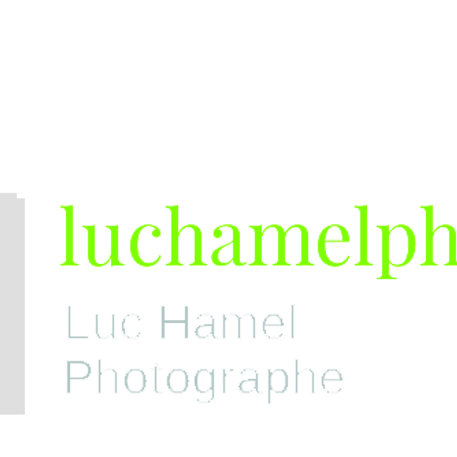 Luc Hamel