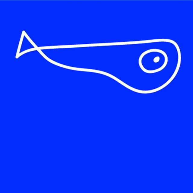 Fish Film