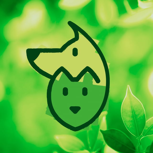 Therapet
