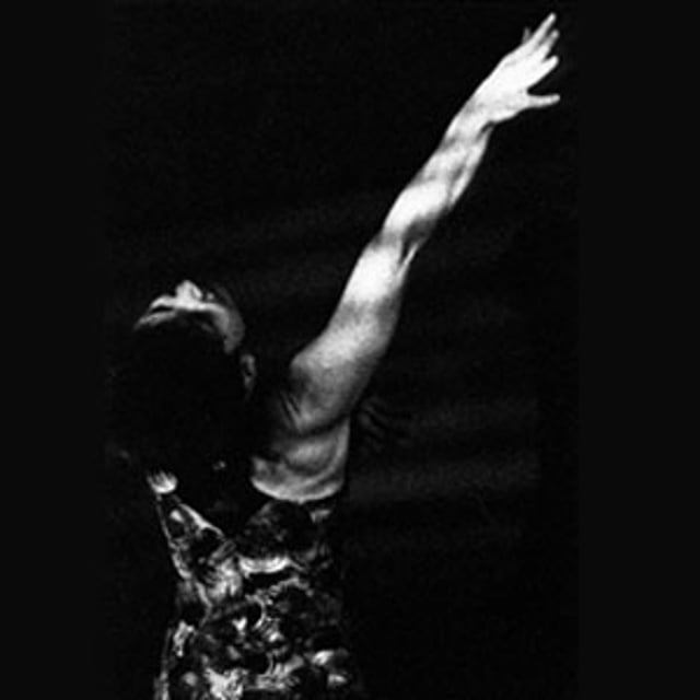 Andrea Ariel Dance Theatre