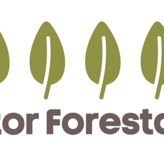 Fitor Forestal