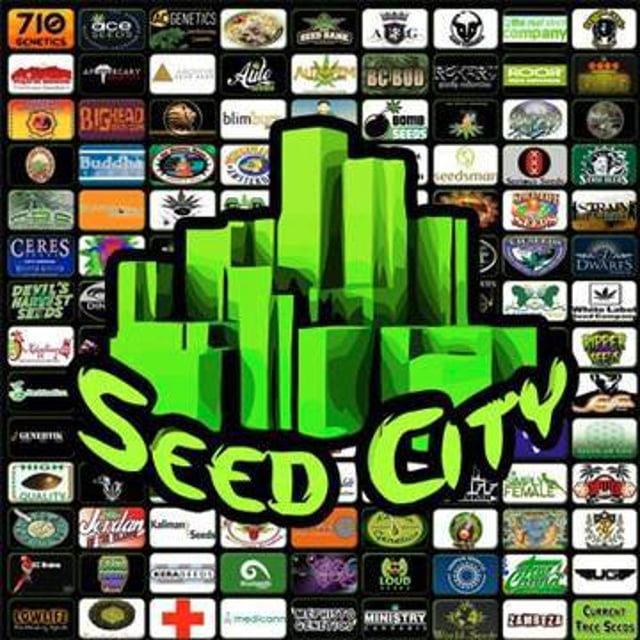 Seed City