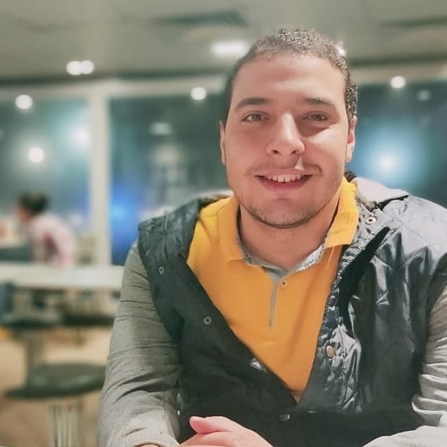 Amro Ibrahim - Animator