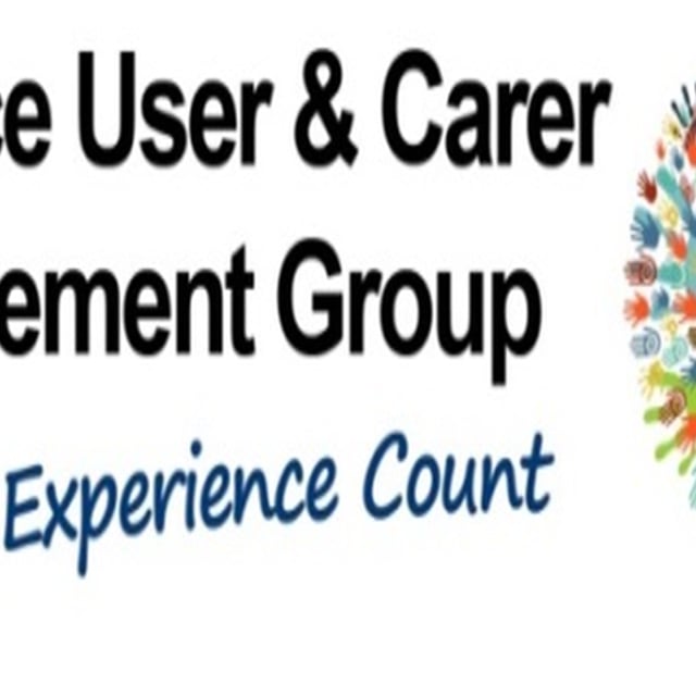 Experts by Experience