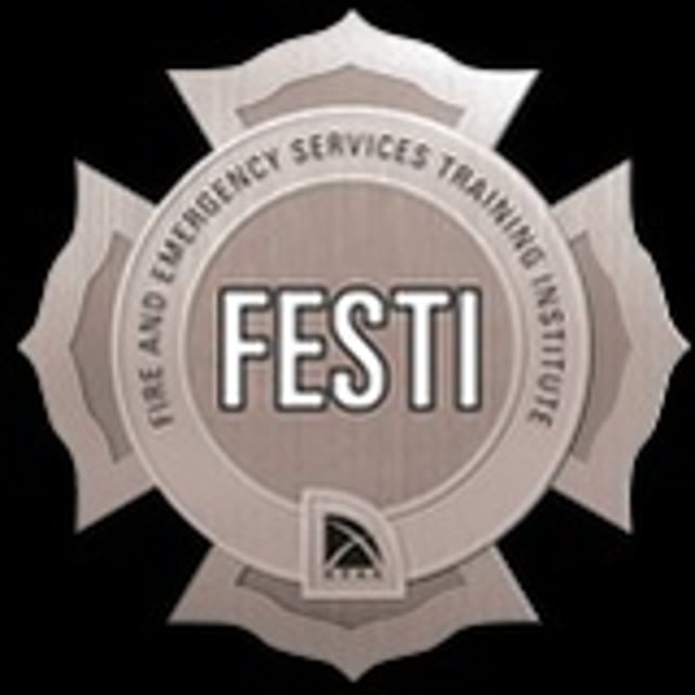 FESTI