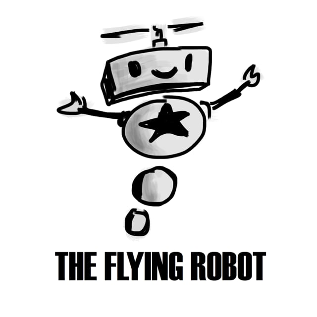 The Flying Robot