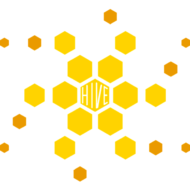 Hive Ultimate - Camera Operator & Video Editor