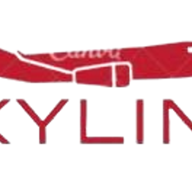Skyline Courier