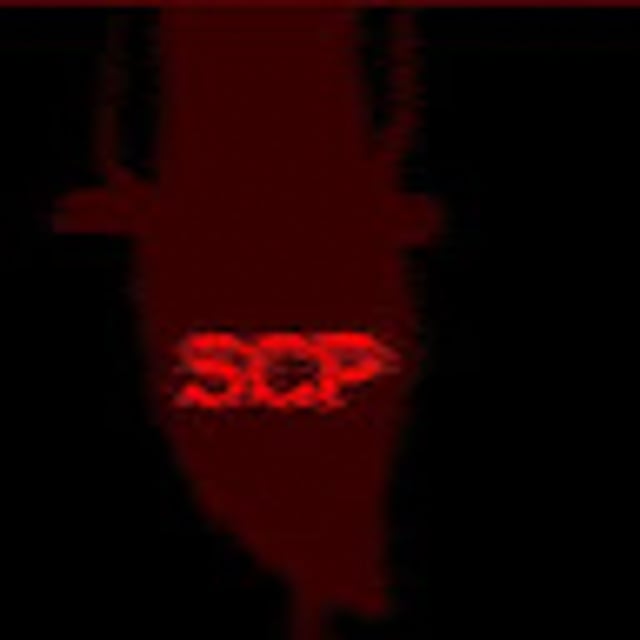 SCP Anims