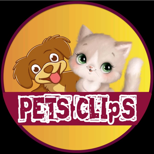 PETS CLIpS