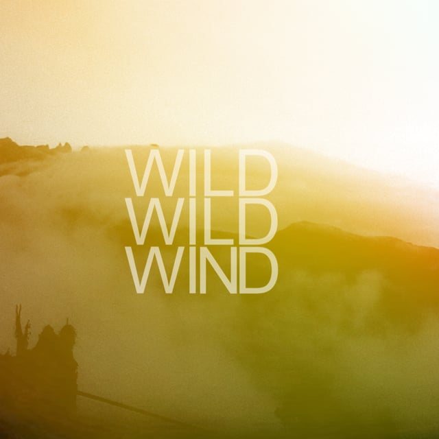 Wild Wild Wind