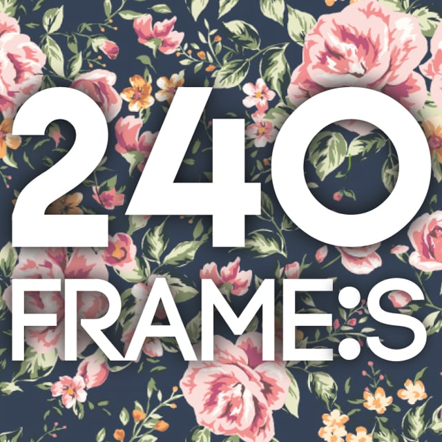 240 FRAME:S