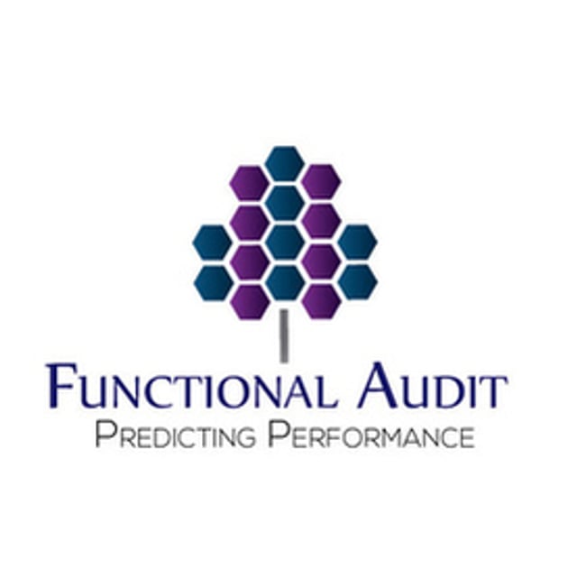 Functional Audit