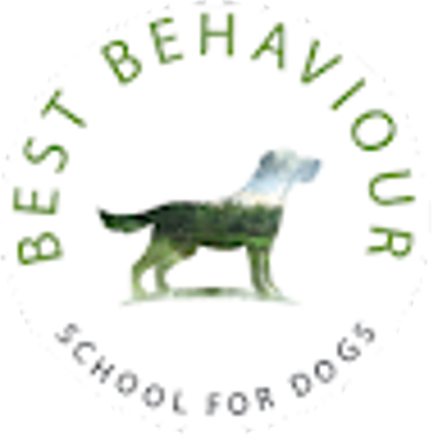 Best Behaviour School For Dogs