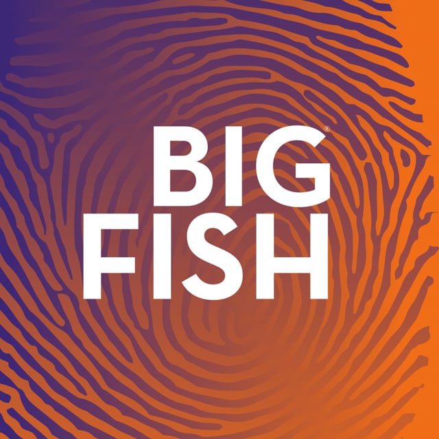 Big Fish Agencia