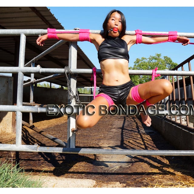 exotic bondage - Actress, Actor & Photographer