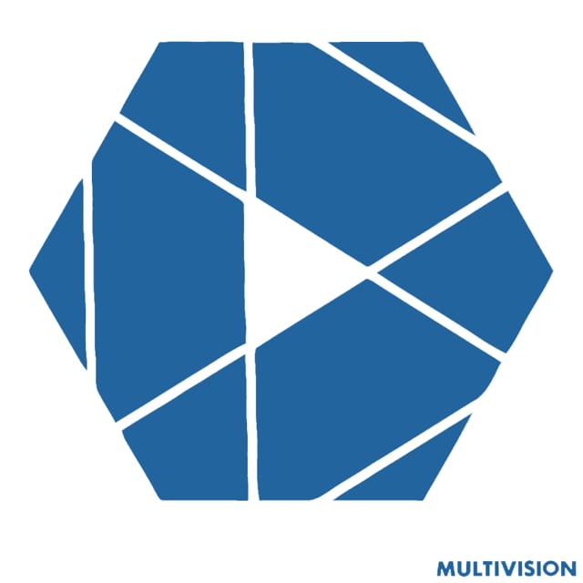 MULTIVISION