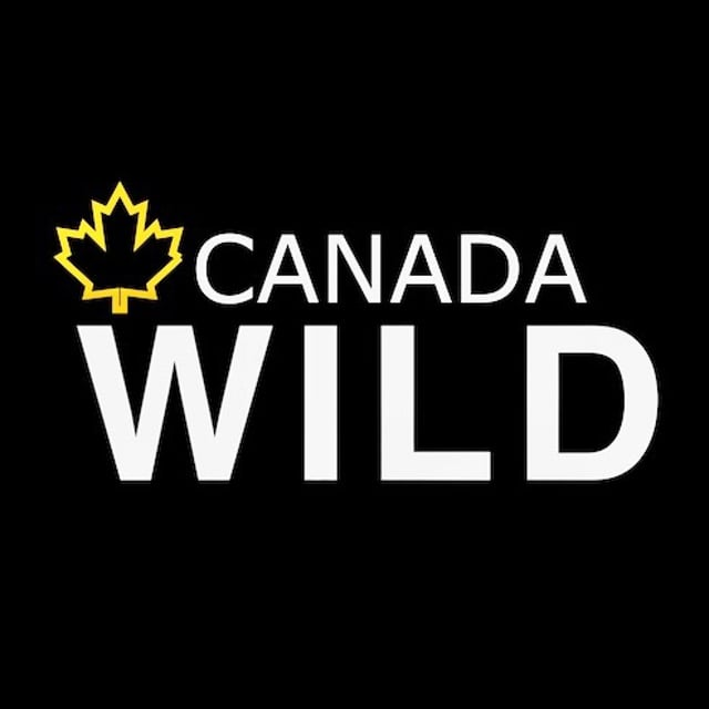 Canada Wild