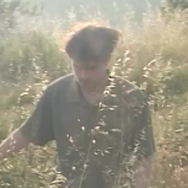 Kristoffer Borgli - Director