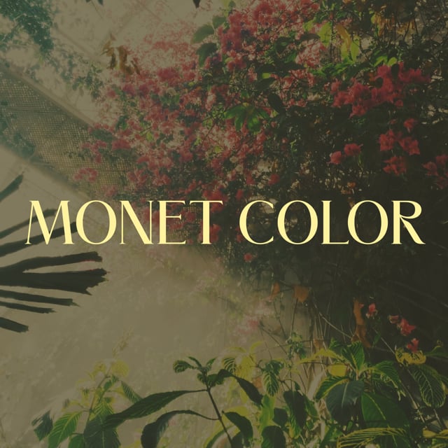 MONET COLOR 모네트 컬러 - Colorist