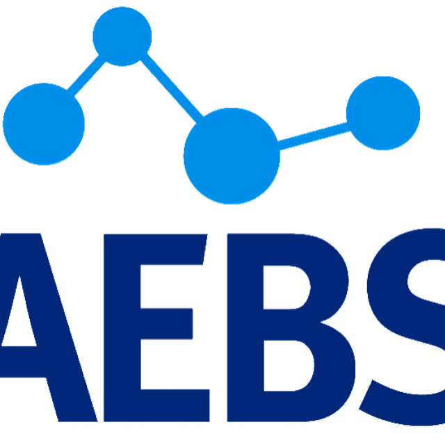 AEBS Sales de Schüssler