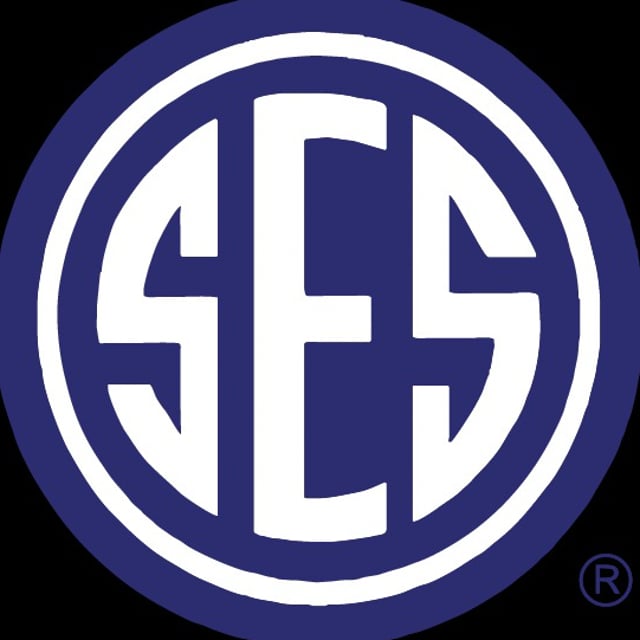 SES - Standards Professonals