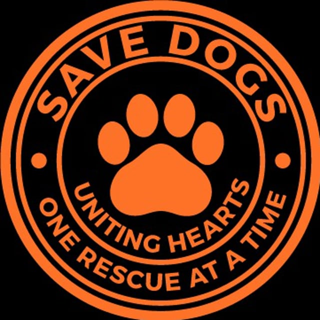 SAVE DOGS