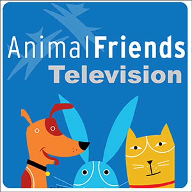 Animal Friends on Vimeo