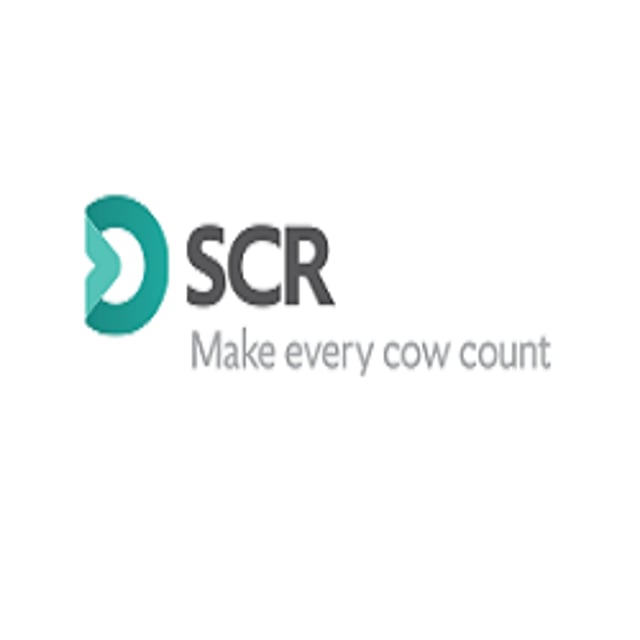 SCR Dairy - Dairy Cattle