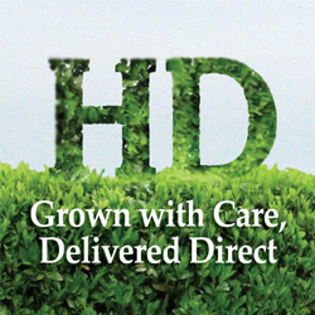 Hedges Direct