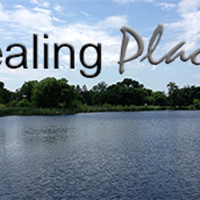 Healing Place Collaborative
