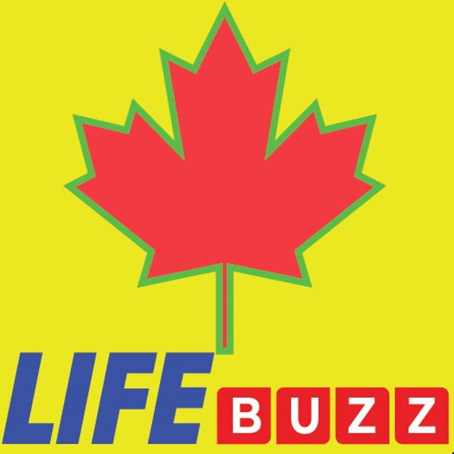 Life Buzz
