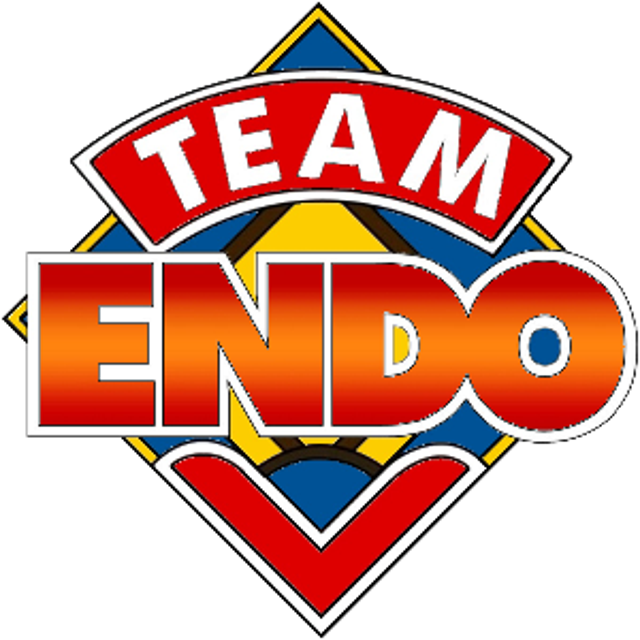 Team Endo