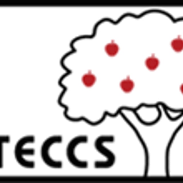 TECCS NY