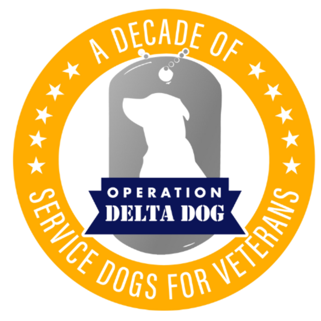 Operation Delta Dog