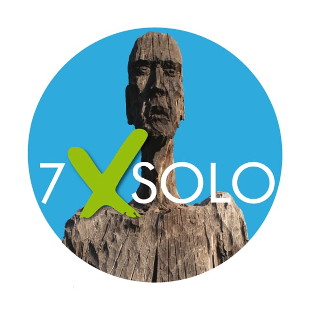 7 x Solo beeldententoonstelling