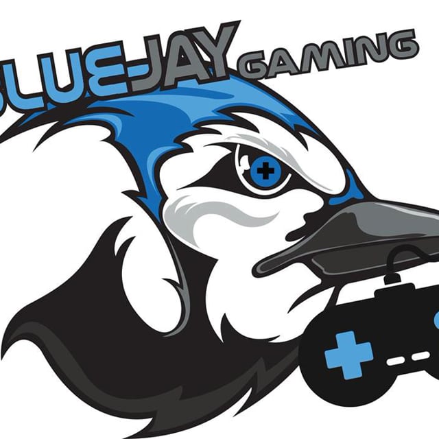 BLUEJAY Gaming