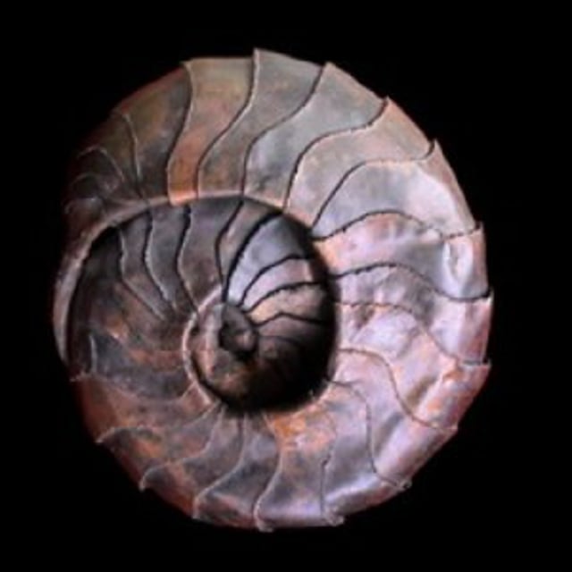 Ammonite