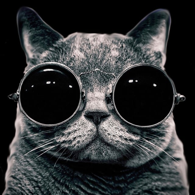 The Electrocat (Erwin Lopez)