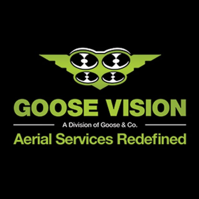 Goose Vision