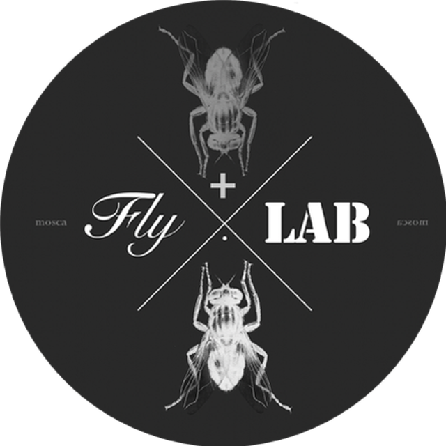FLY+LAB