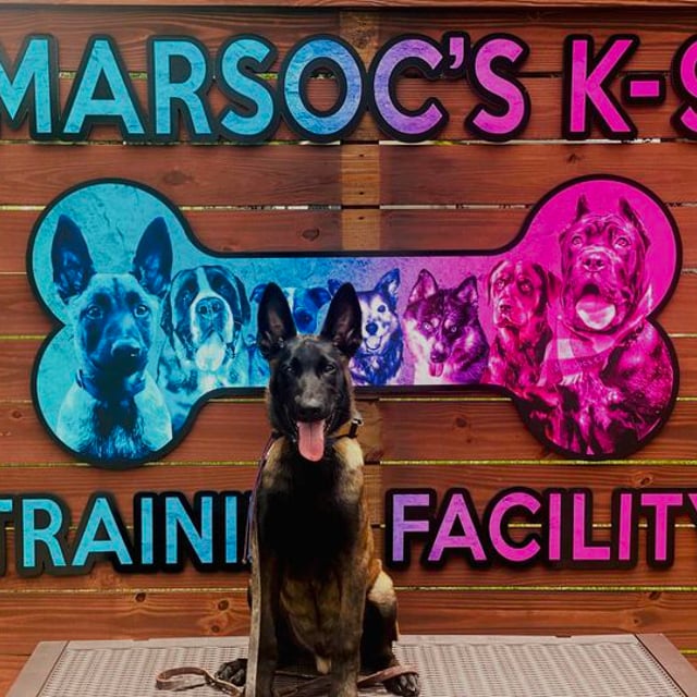 MARSOC'S K-9 Training Facility