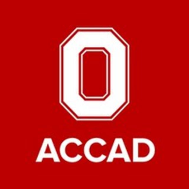 ACCAD OSU - Creative Director