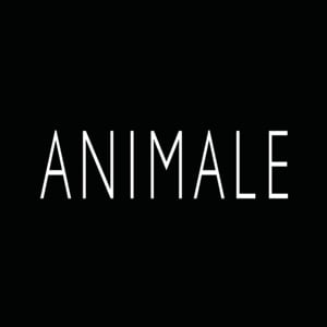 Animale Brasil on Vimeo