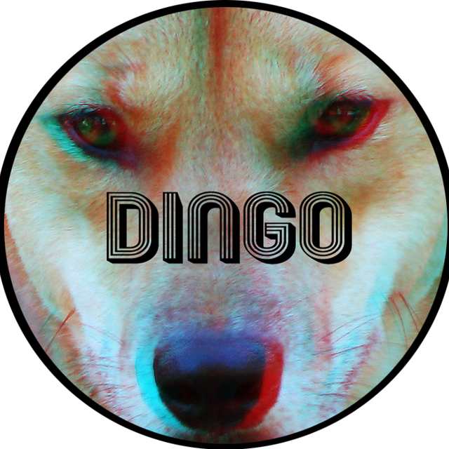 Estudio Dingo