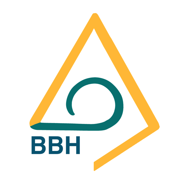 Building Bridges Hub - Videographer, 2D Animator & Editor