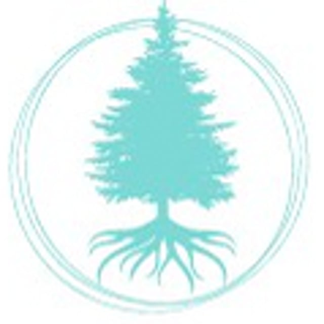 Blue Spruce Photo and Video