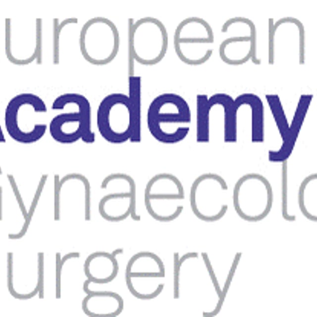 The European Academy